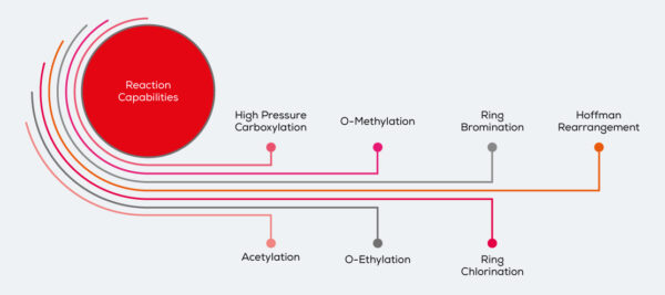 Reaction Capabilities - Biosynth